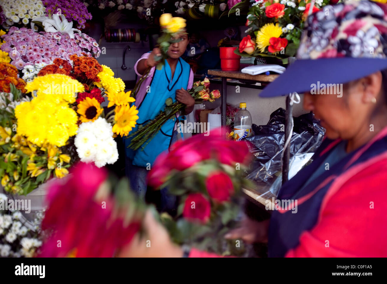 Flower markets prepare roses for valentines day in Quito, Ecuador Stock ...