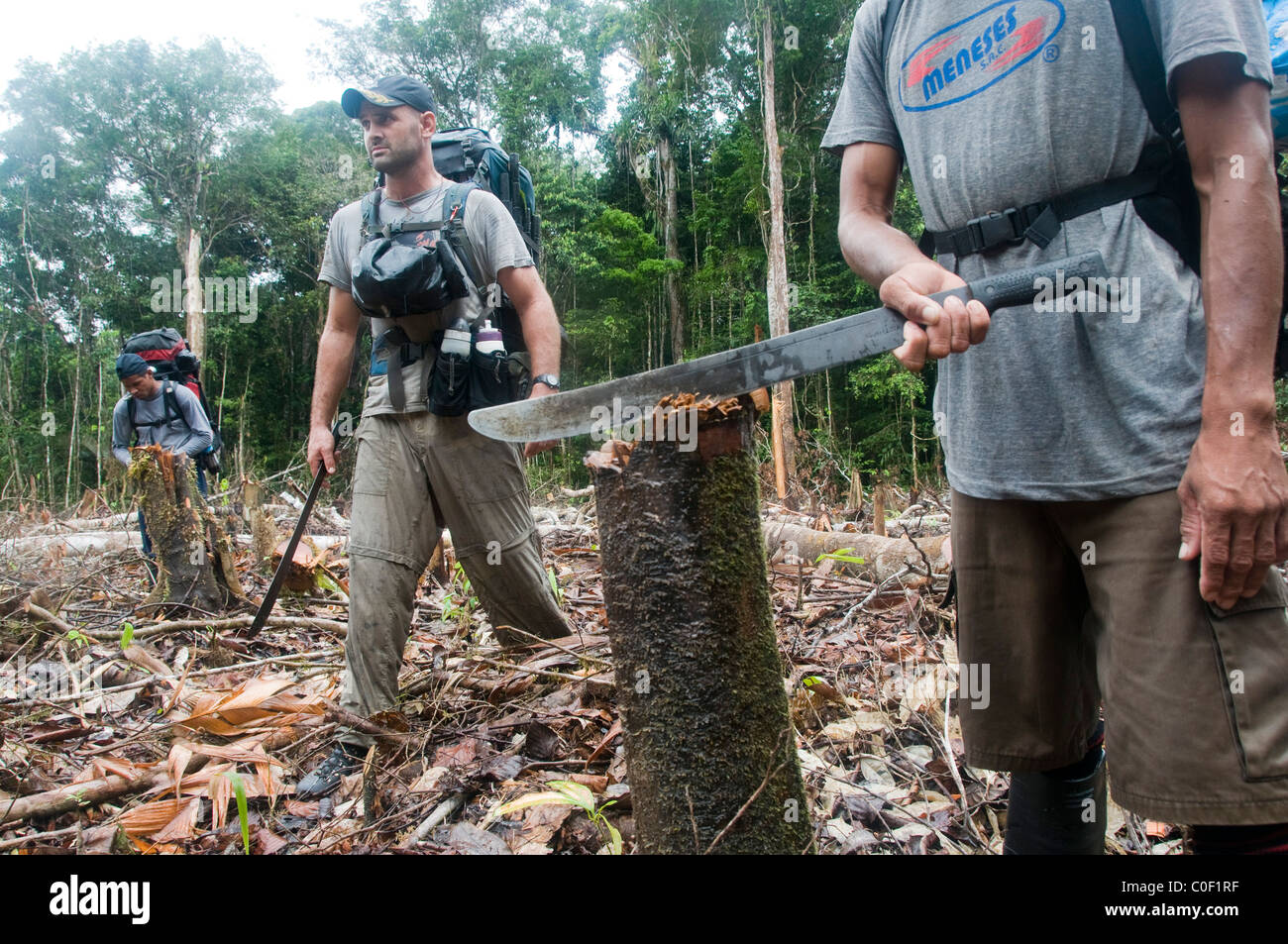 Amazon Walker High Resolution Stock Photography and Images - Alamy