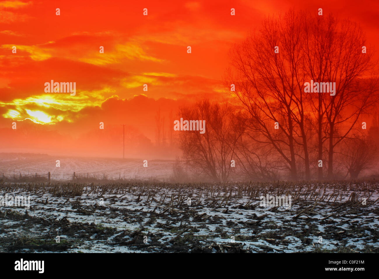 Sunset and developing fog over frozen crop fields with snow and trees ...