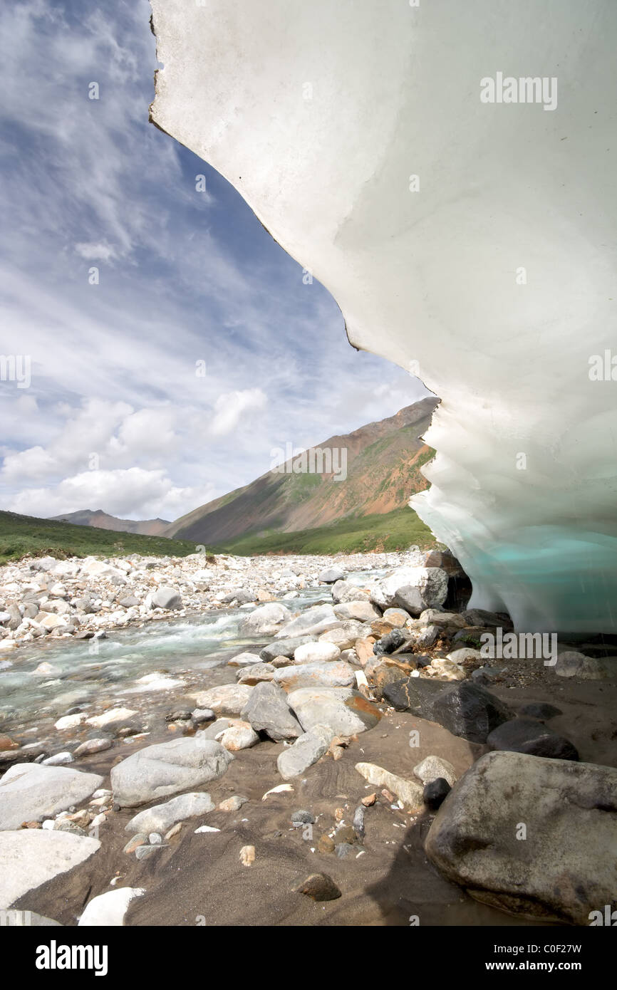 Wavy ice glacier edge over stones. Coast of mountain river Eheger. East ...