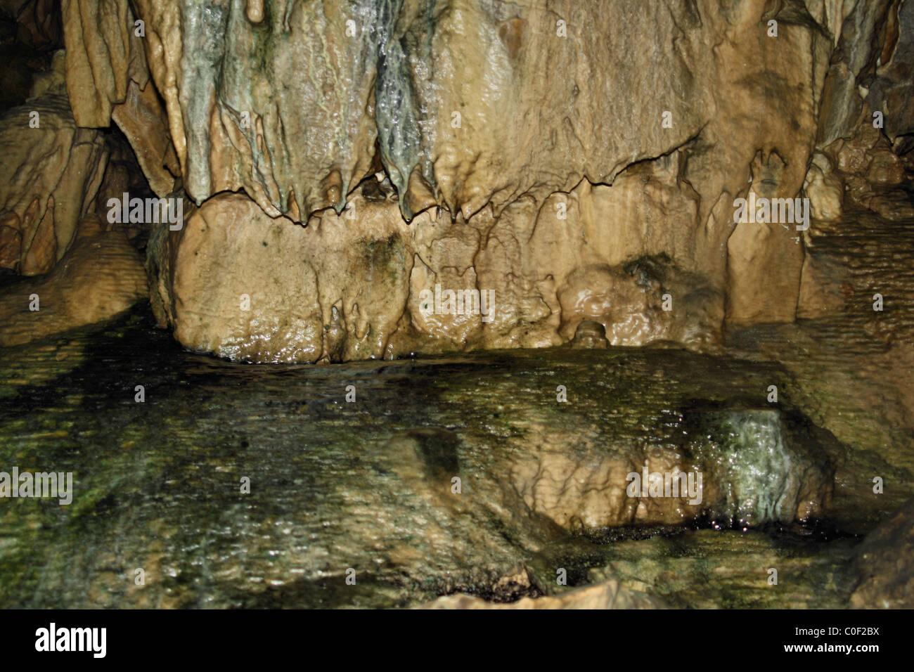 Stalagmites and Stalactites at Stump Cross Cave Yorkshire Dales Stock ...