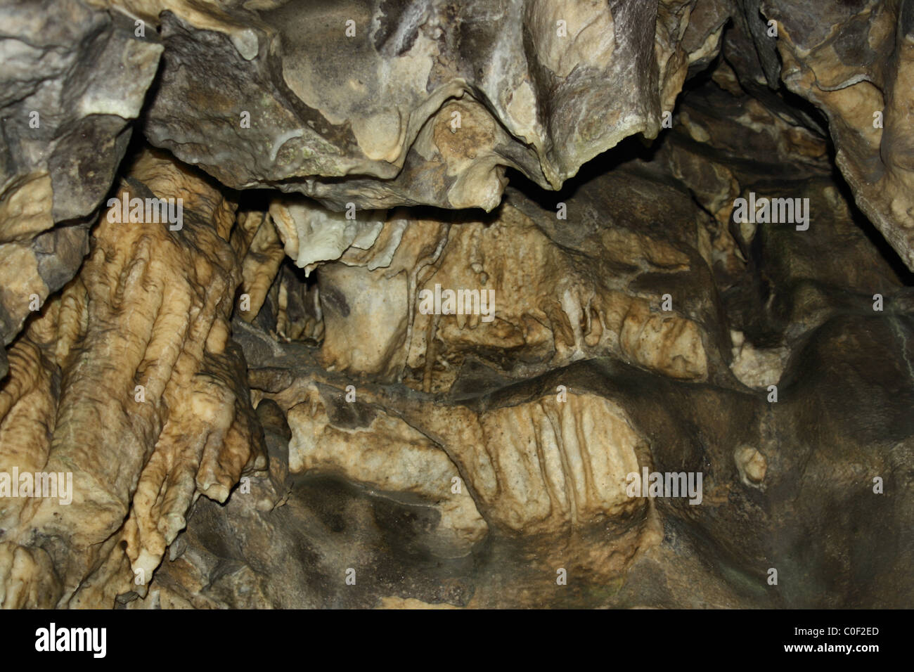 Stalagmites and Stalactites at Stump Cross Cave Yorkshire Dales Stock ...