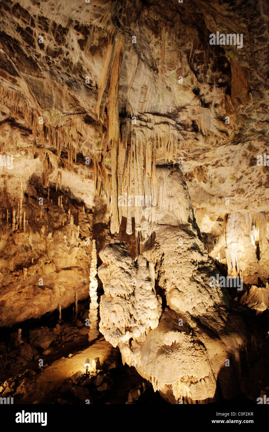 Subterranean environment hi-res stock photography and images - Alamy