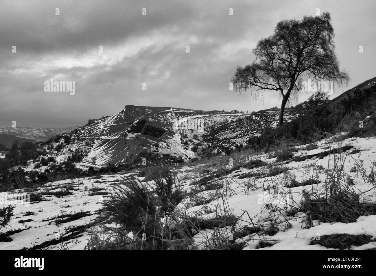Lone tree and snow with view of Eglwyseg rocks from the Panorama ...