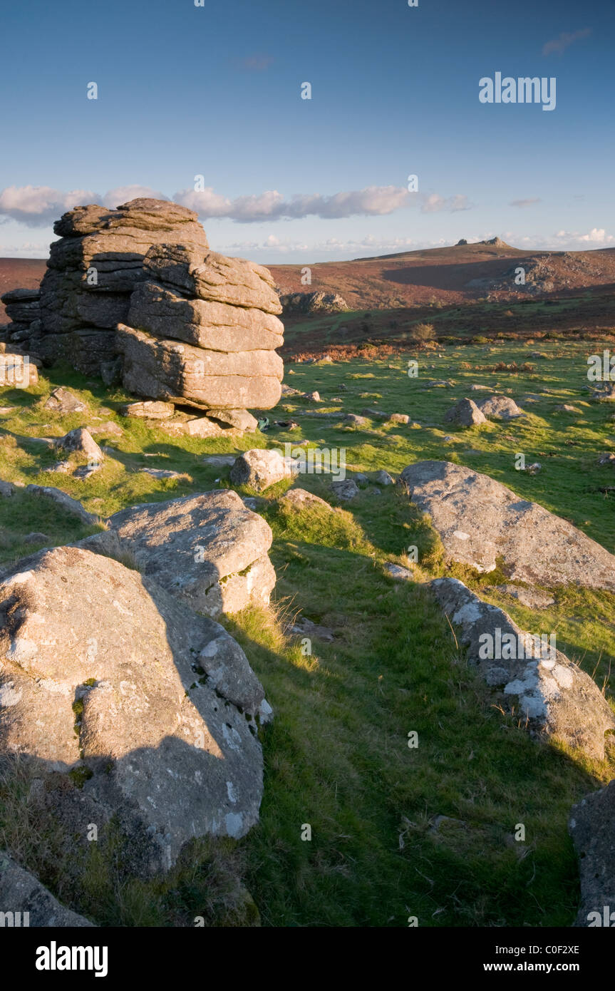 Hound Tor rock formations, Dartmoor National Park, in autumn evening ...