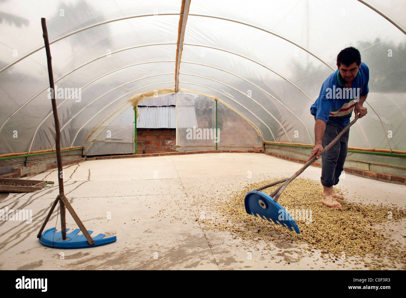 Coffee rake hi-res stock photography and images - Alamy