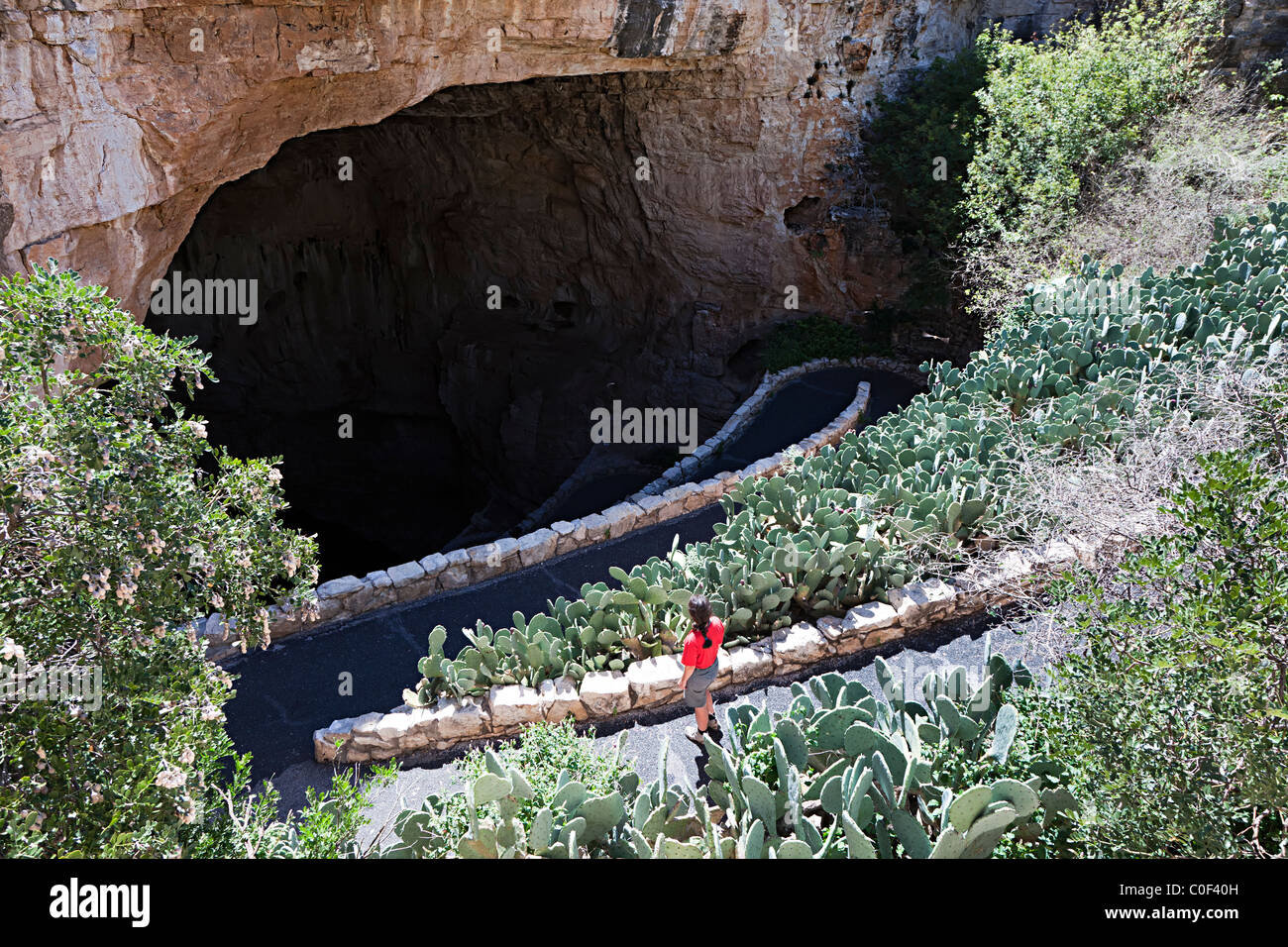 Carlsbad caverns entrance hi-res stock photography and images - Alamy