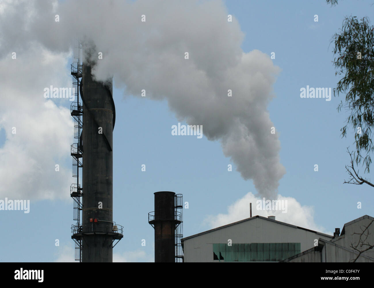 Sugar cane australia hi-res stock photography and images - Alamy