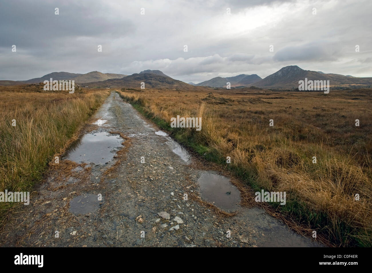 Letterfrack hi-res stock photography and images - Alamy