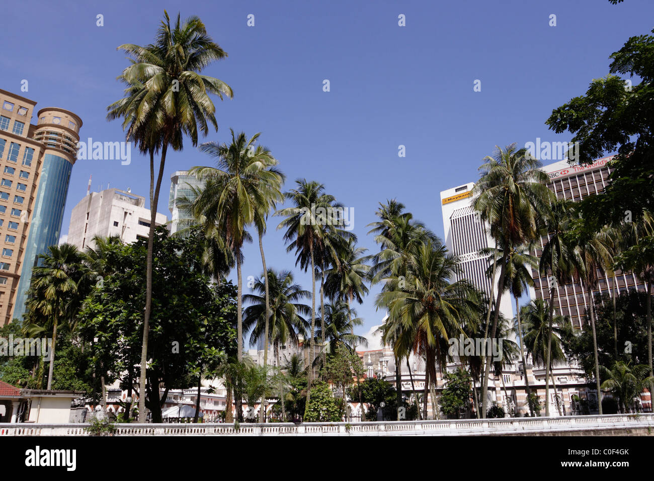 Palm trees in Kuala Lumpur city, Malaysia Stock Photo - Alamy