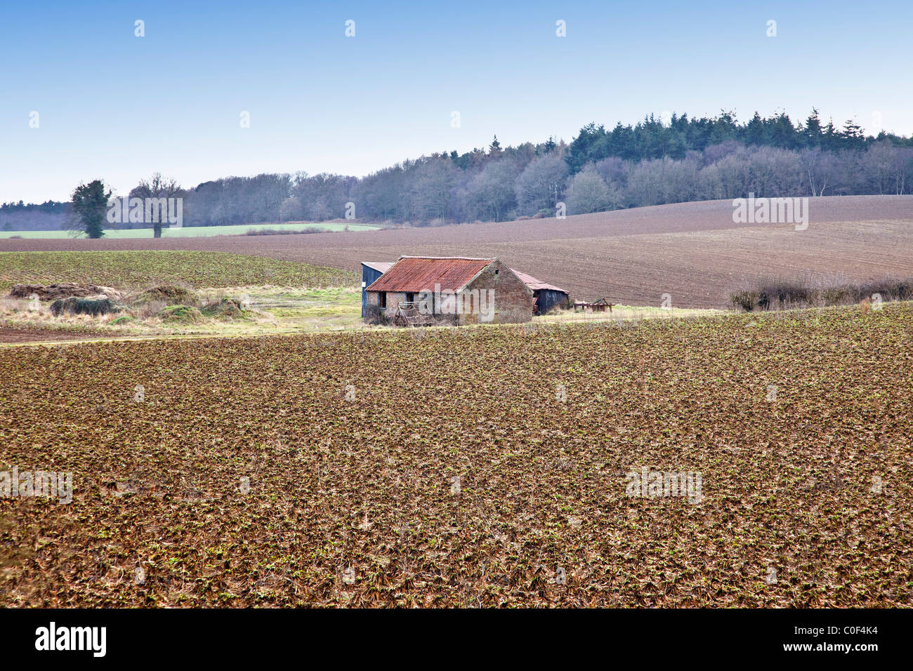 One of the many country trails scattered around the county of Norfolk ...