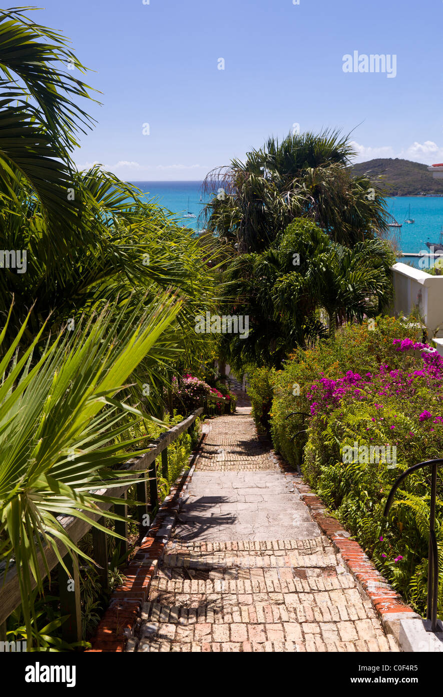St thomas virgin islands 99 steps hi-res stock photography and images ...
