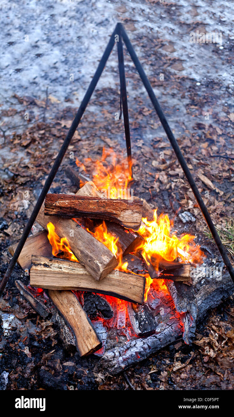 Bonfire with flame, firewood in the forest Stock Photo - Alamy