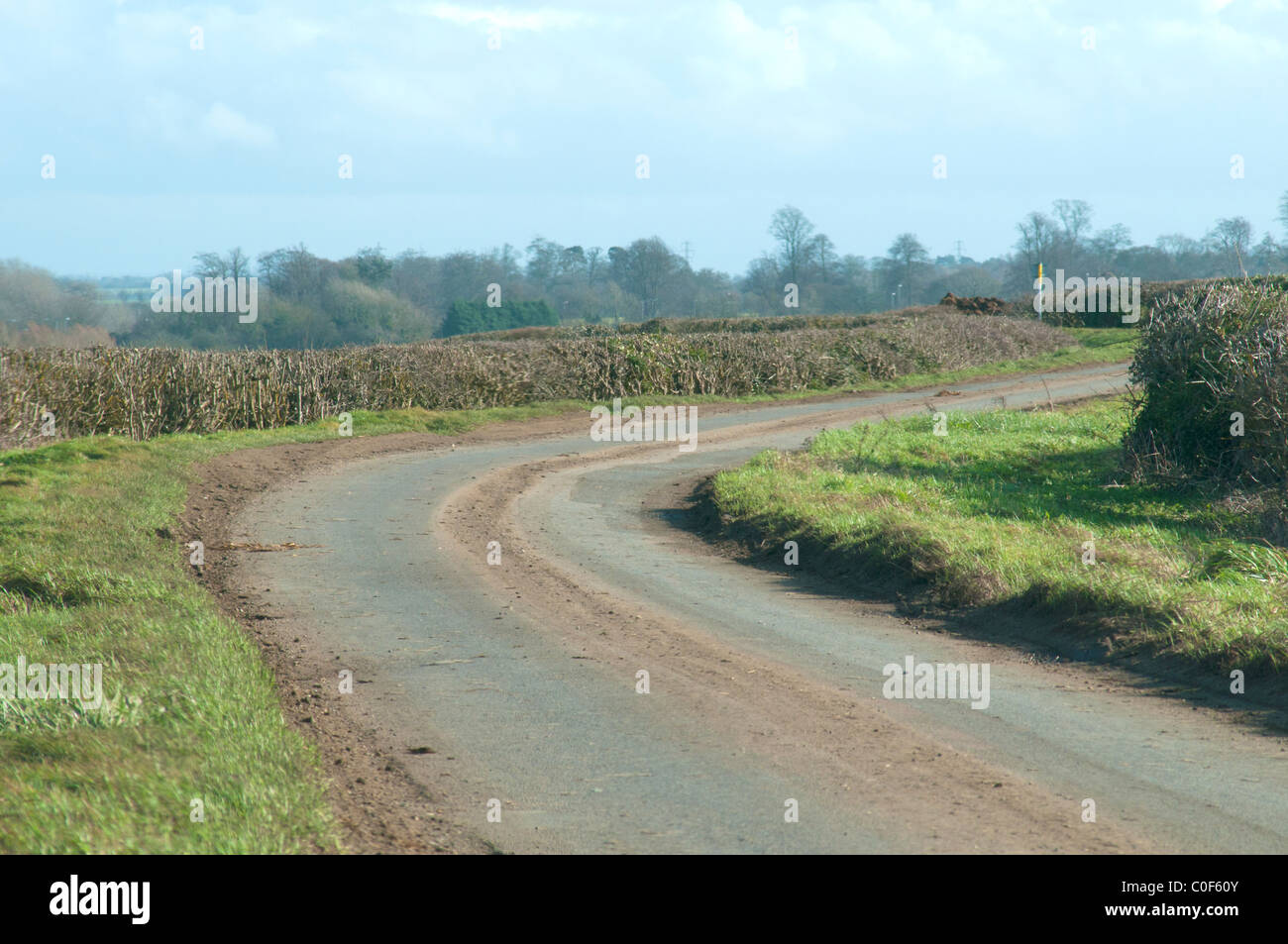 Mud muddy roads muddy road hi-res stock photography and images - Alamy