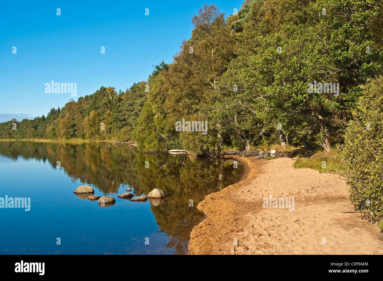 The sandy shore of Loch Morlich in Glen More Cairngorm National Park ...