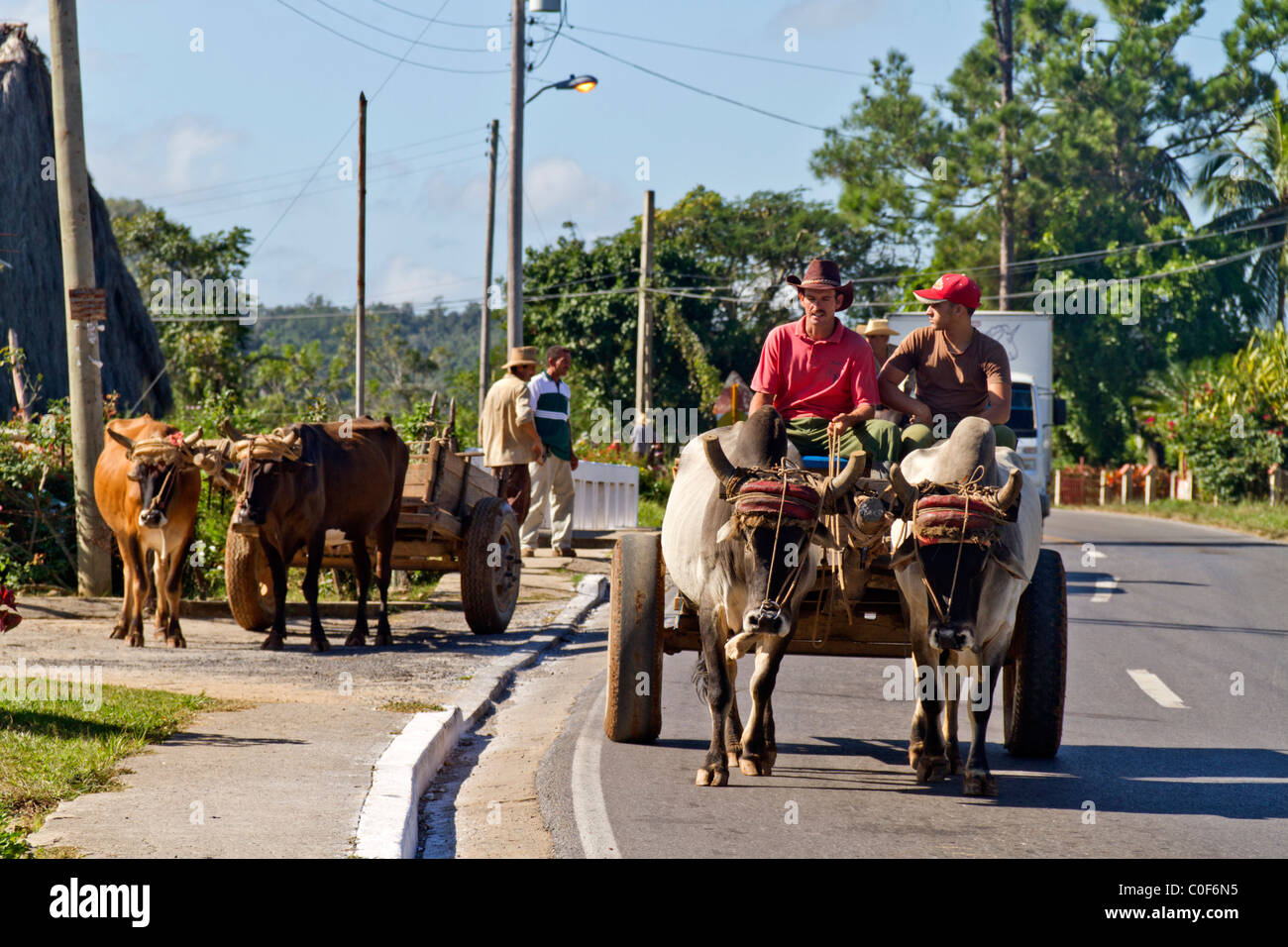 Ox carriage hi-res stock photography and images - Alamy