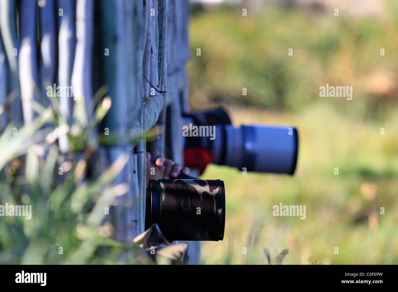 Bird hide photographers hi-res stock photography and images - Alamy