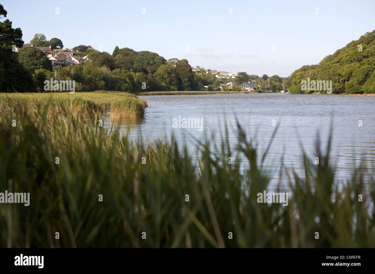 Tresillian cornwall hi-res stock photography and images - Alamy