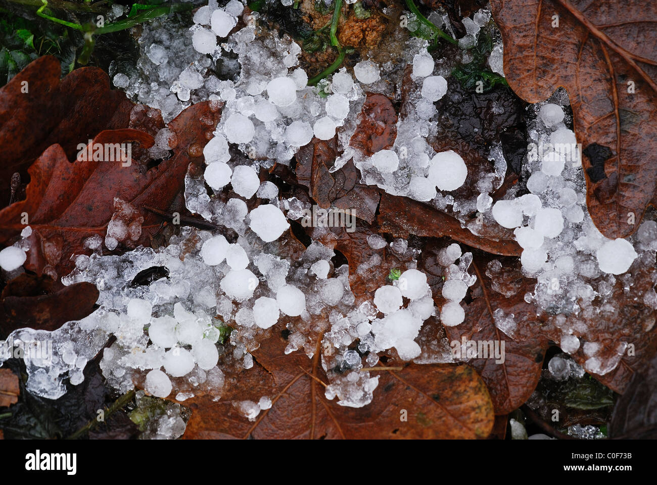 White hailstones hi-res stock photography and images - Alamy