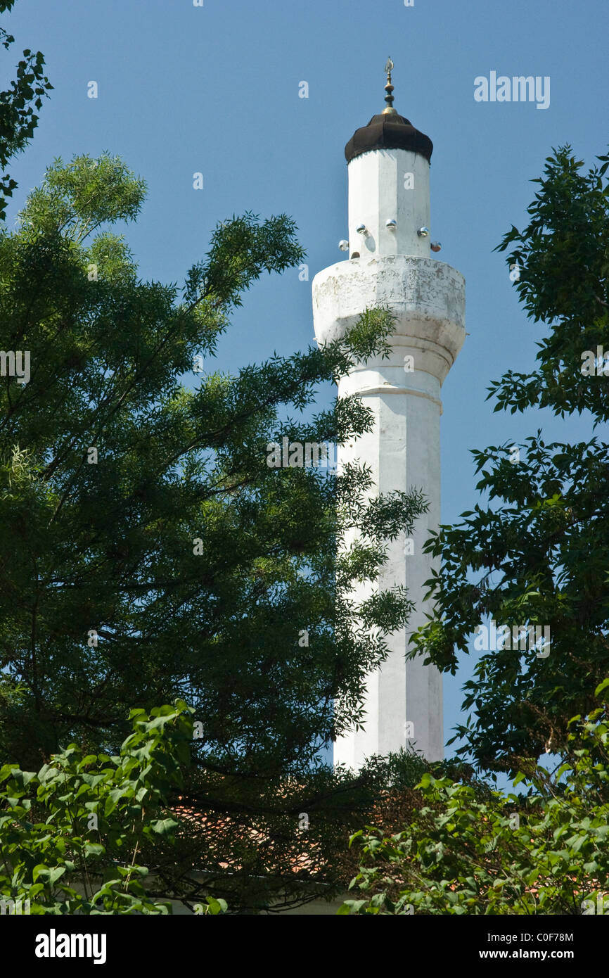 Vidin town, the mosque of Osman Pazvantoglu, Balkans, Bulgaria Stock ...