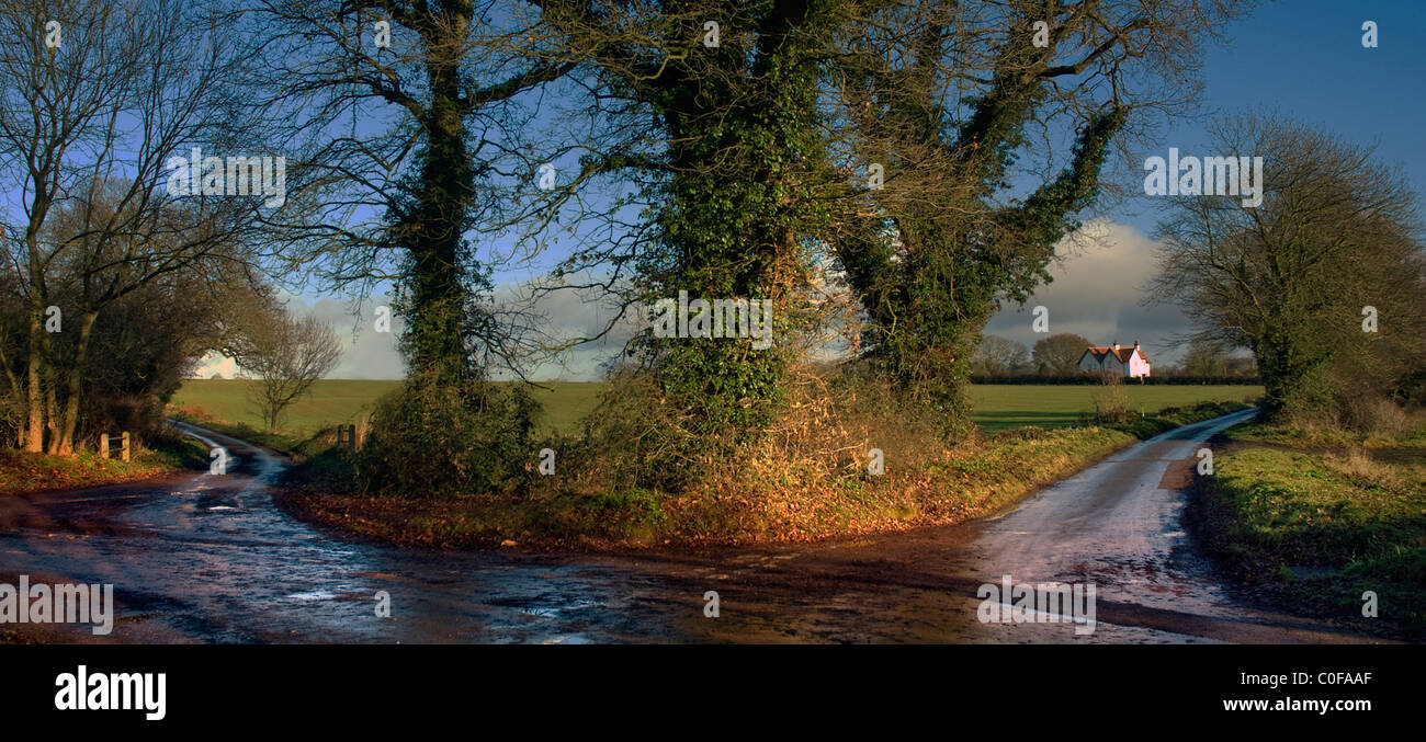 country roads broome norfolk england Stock Photo - Alamy