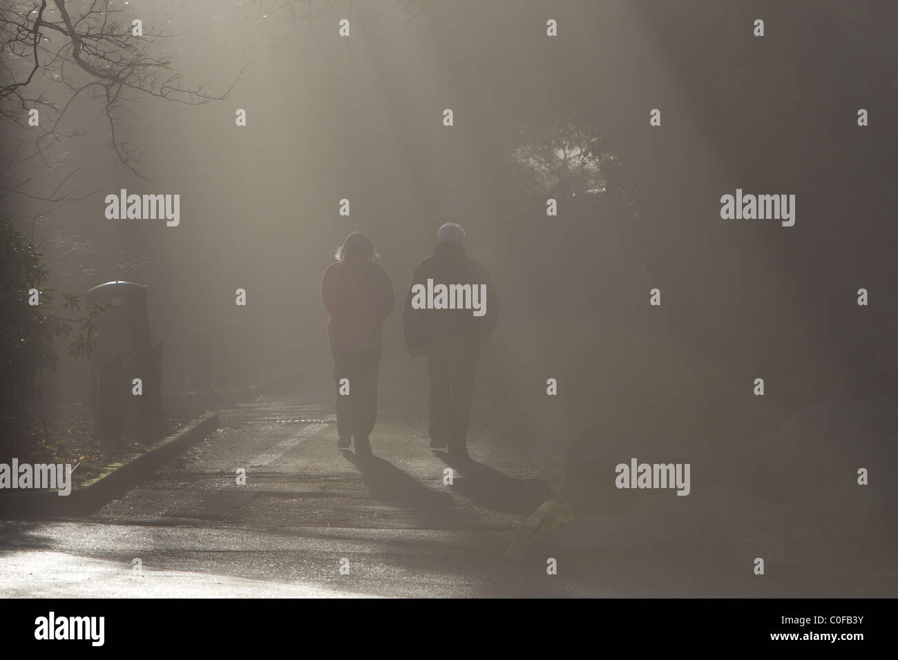 Walking into the mist hi-res stock photography and images - Alamy