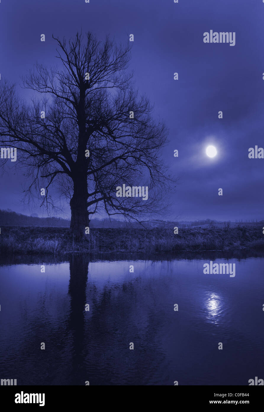Moonlight over river hi-res stock photography and images - Alamy