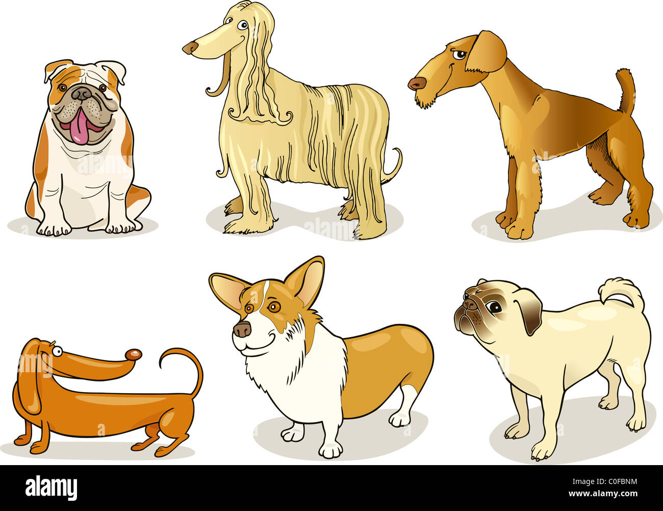 cartoon illustration of six purebred dogs Stock Photo - Alamy