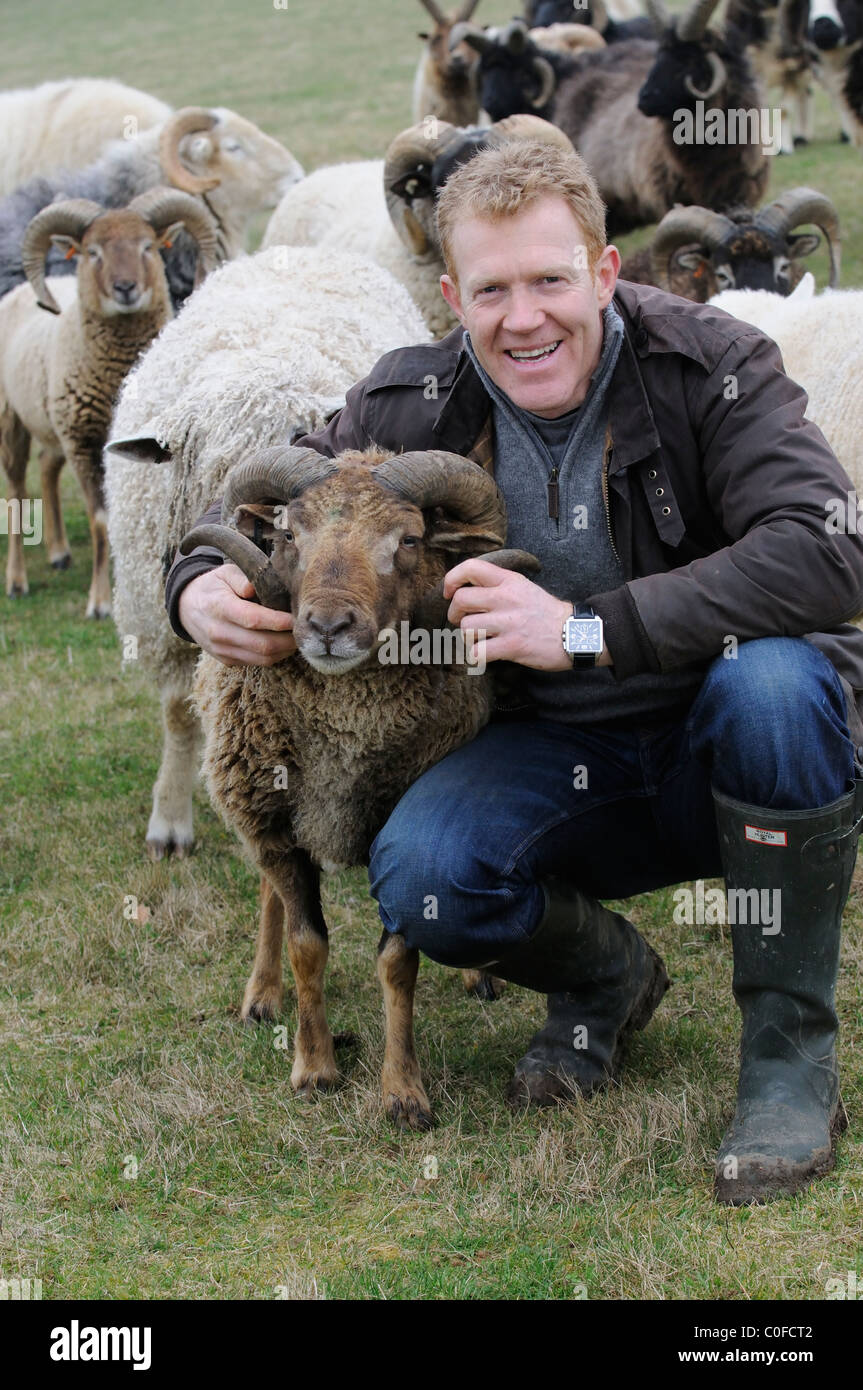 Adam Henson Cotswold farmer with his rare breeds sheep on Adam's farm at Temple Guiting ...