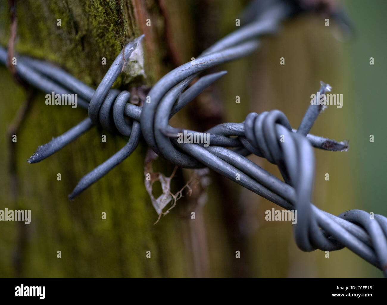 Galvanised wire hi-res stock photography and images - Alamy