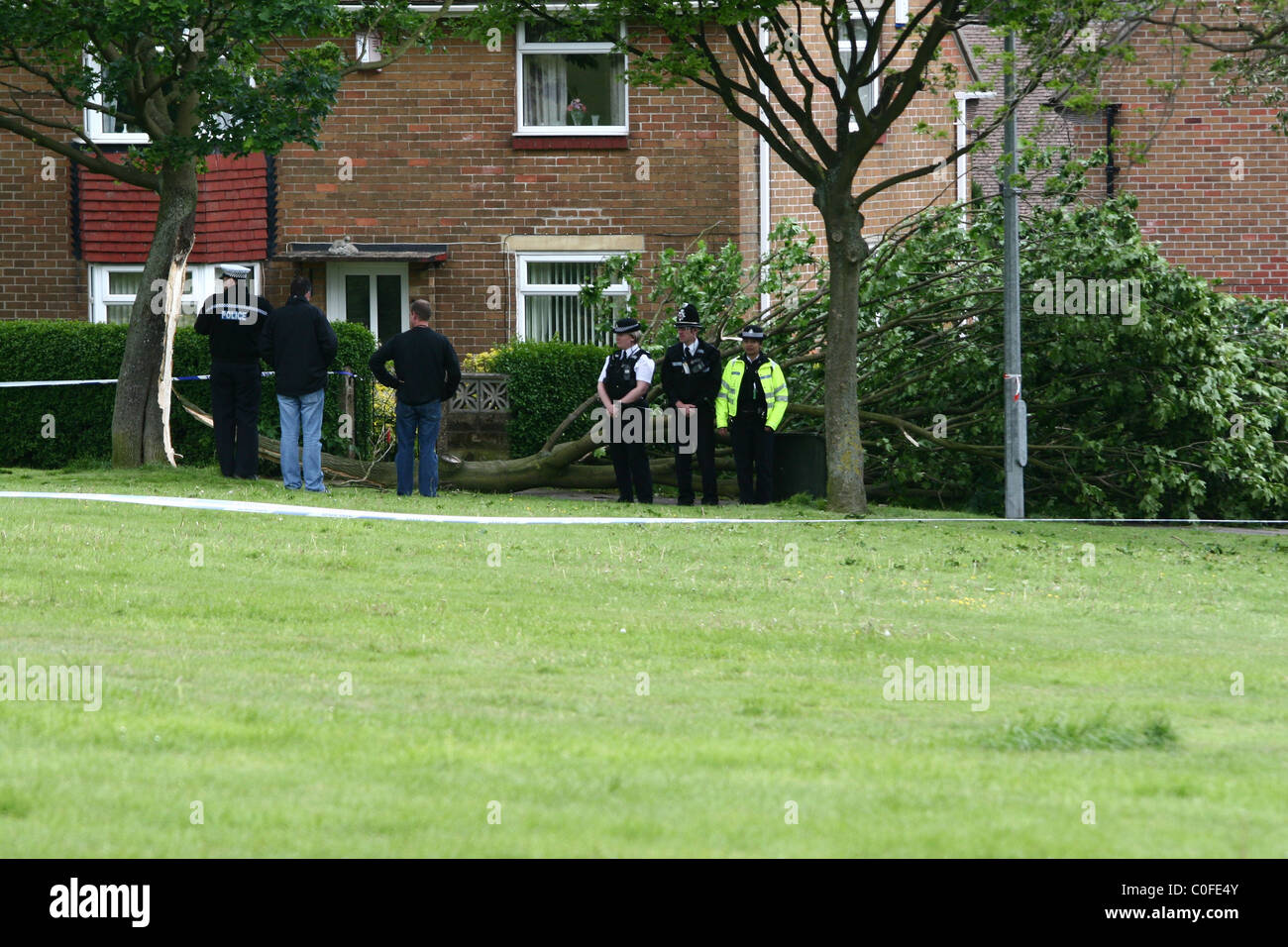A 13-year-old girl has died after being crushed by a tree. The unnamed ...