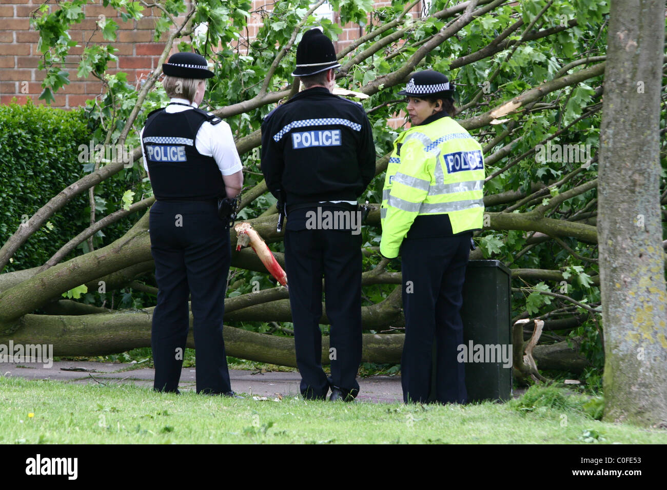 A 13-year-old girl has died after being crushed by a tree. The unnamed ...
