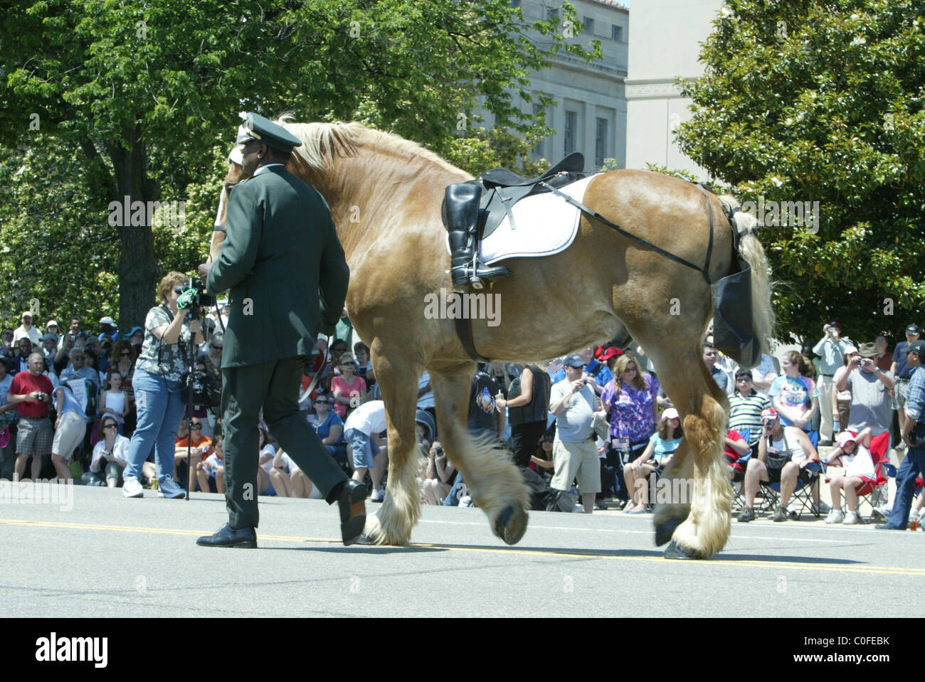 Riderless horse Annual Memorial Day Parade on Constitution Avenue ...