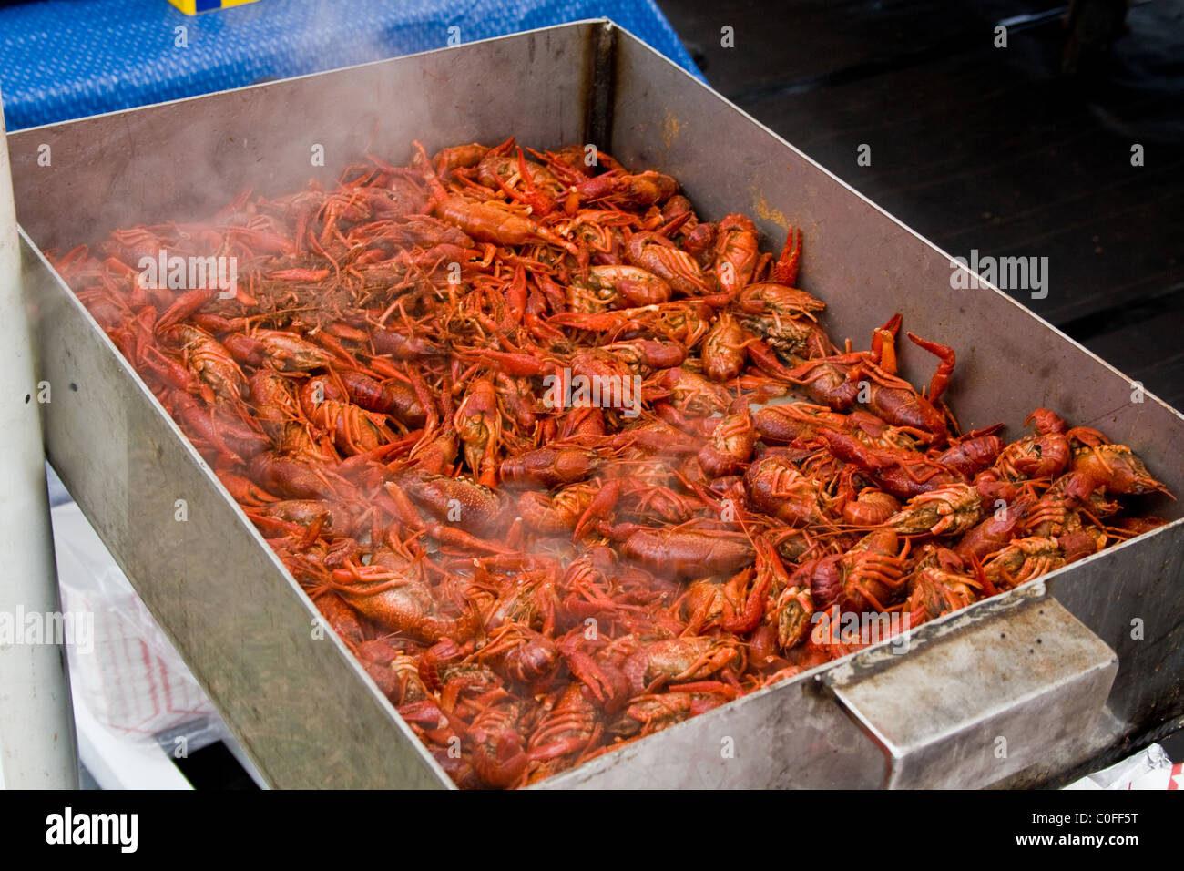 Metal tin filled with steaming crawfish or crayfish ready to eat Stock ...
