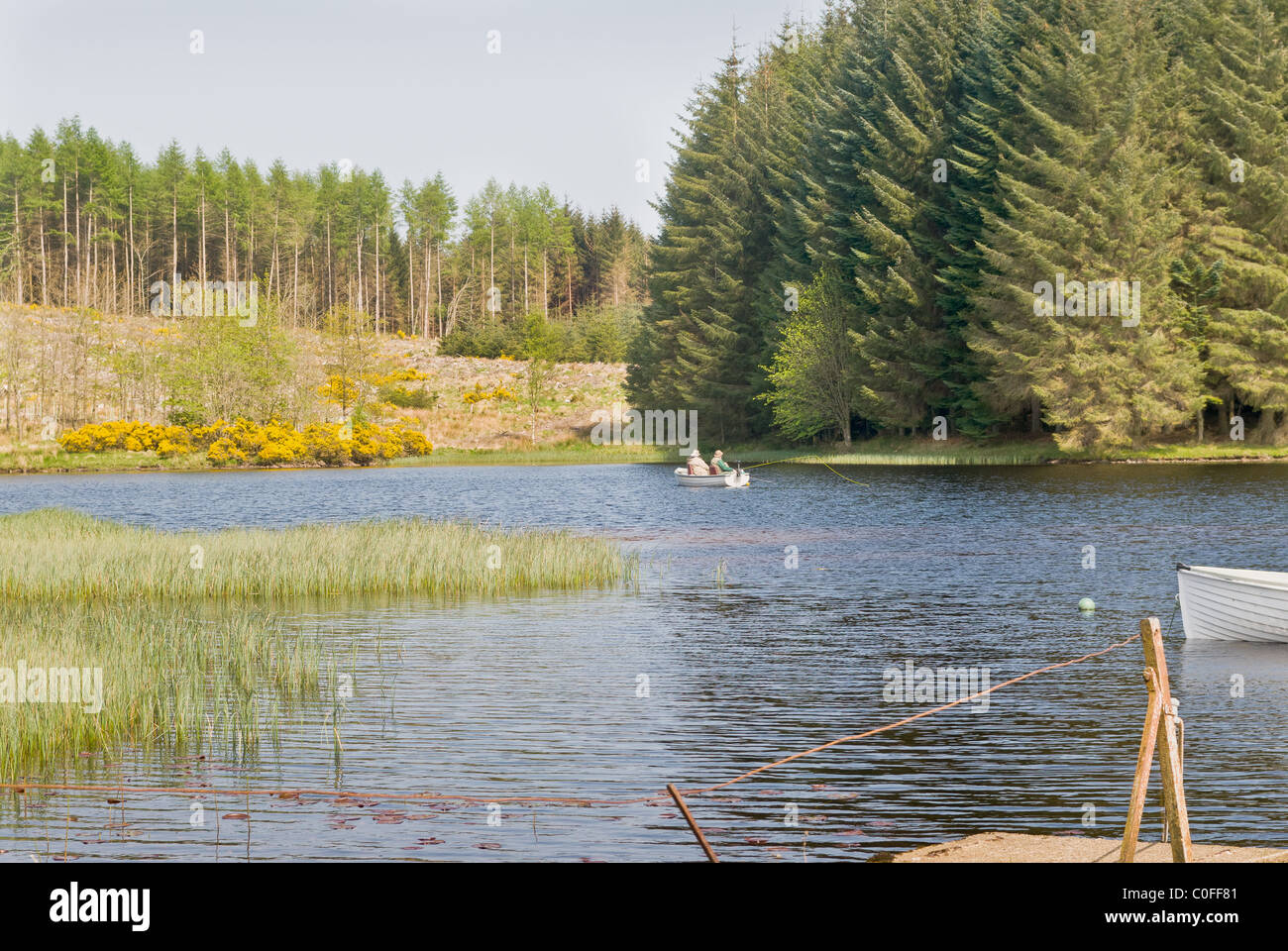 Trout fishing loch hi-res stock photography and images - Alamy