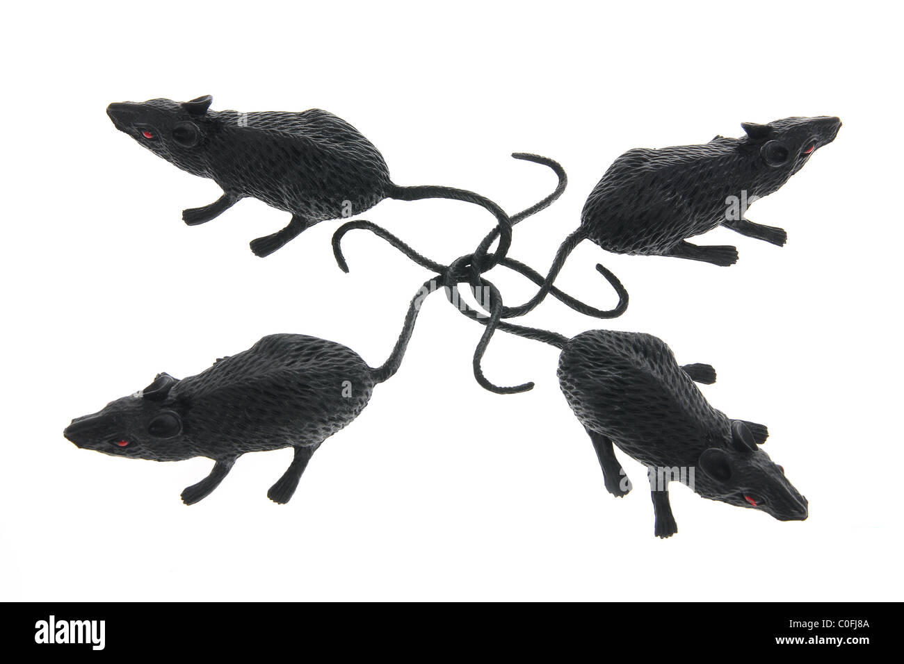 Rats Cut Out Stock Images & Pictures - Alamy