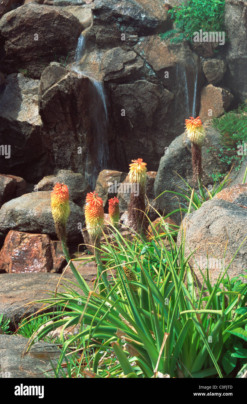 Slow running desert stream descending over small boulders Stock Photo ...