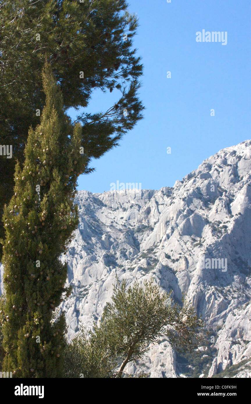 Provence cypress tree hi-res stock photography and images - Alamy