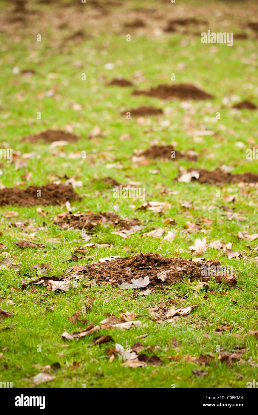 Grass covered mound hi-res stock photography and images - Alamy