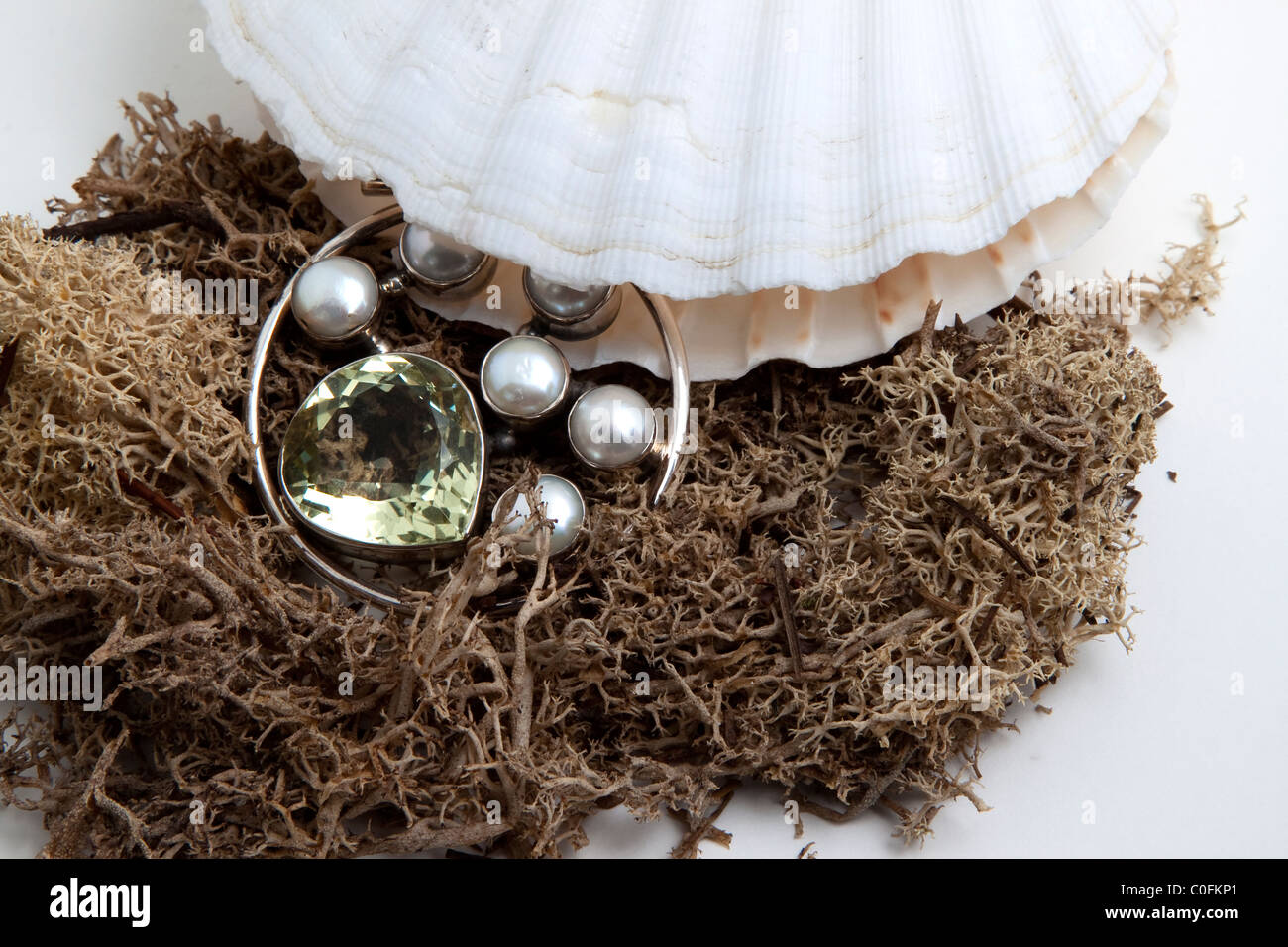 Green ocean algae hi-res stock photography and images - Alamy