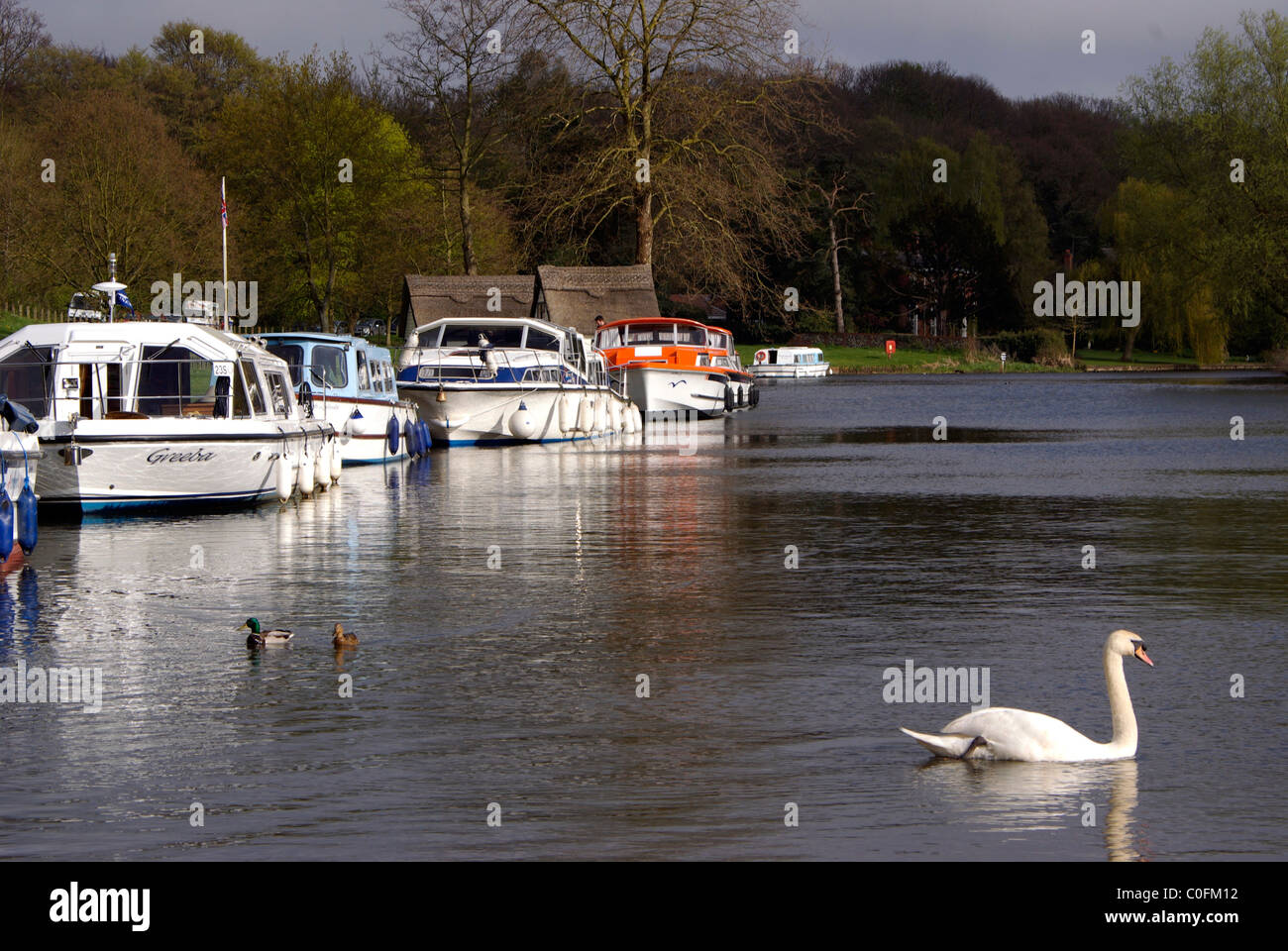 Norfolk broads pleasure boats hi-res stock photography and images - Alamy