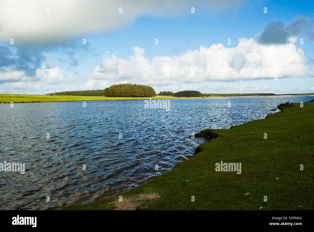 Crowdy Reservoir is on Bodmin Moor Cornwall England Stock Photo - Alamy