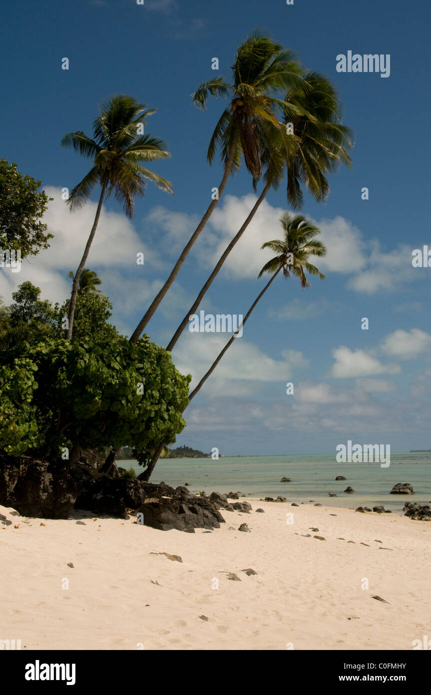 The Pacific Ressort Aitutaki is the first touristic adress on this ...