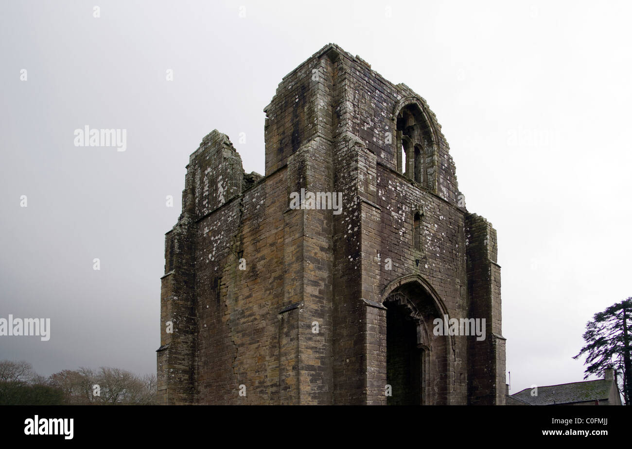 Shap hi-res stock photography and images - Alamy