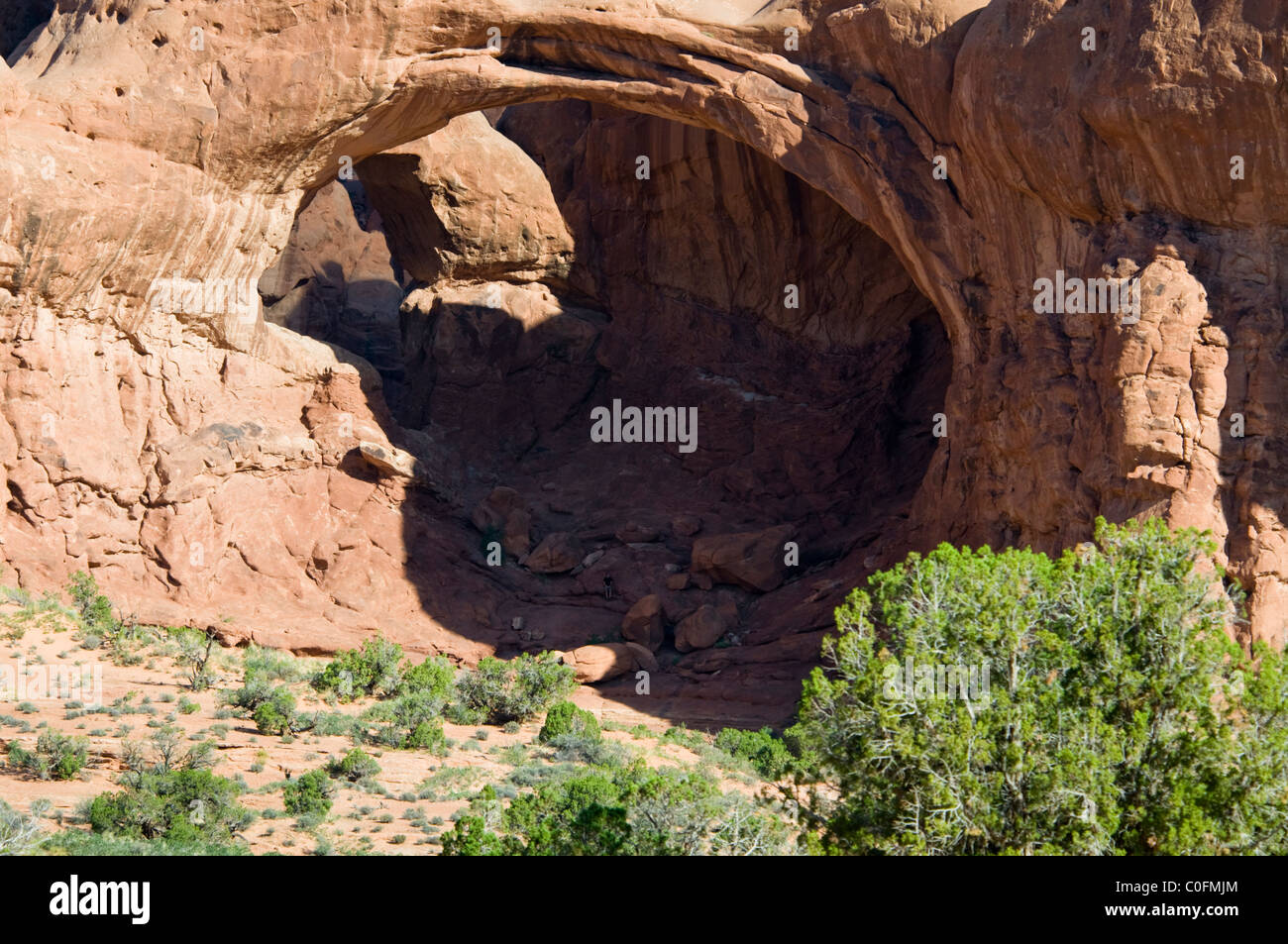 Double Arch,Cove of Caves,Ceaseless,Erosional Powers of Wind,Scouring ...