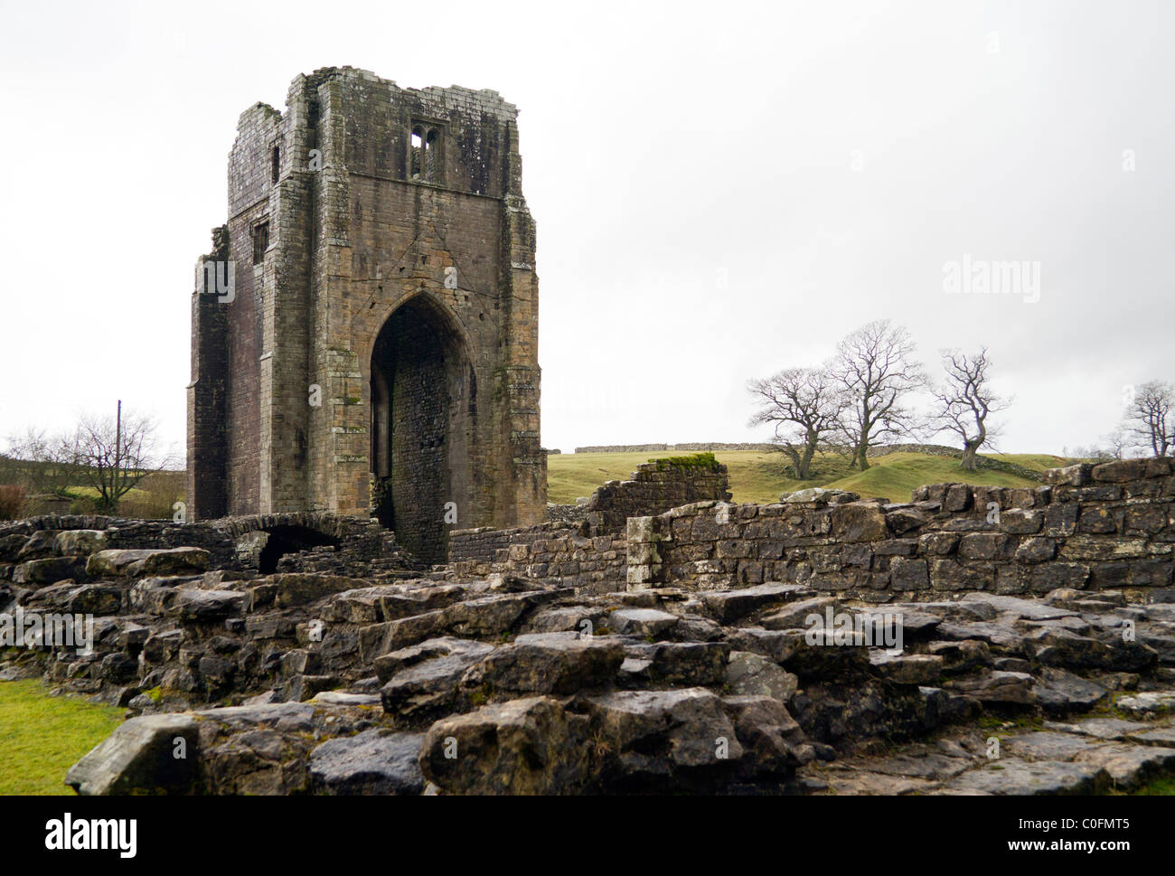 Shap hi-res stock photography and images - Alamy