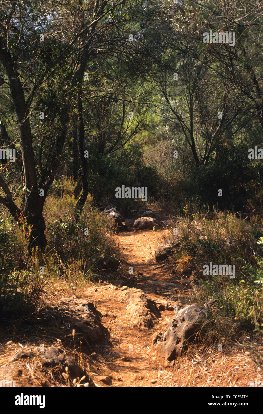 Turkish countryside near Dalyan Stock Photo - Alamy
