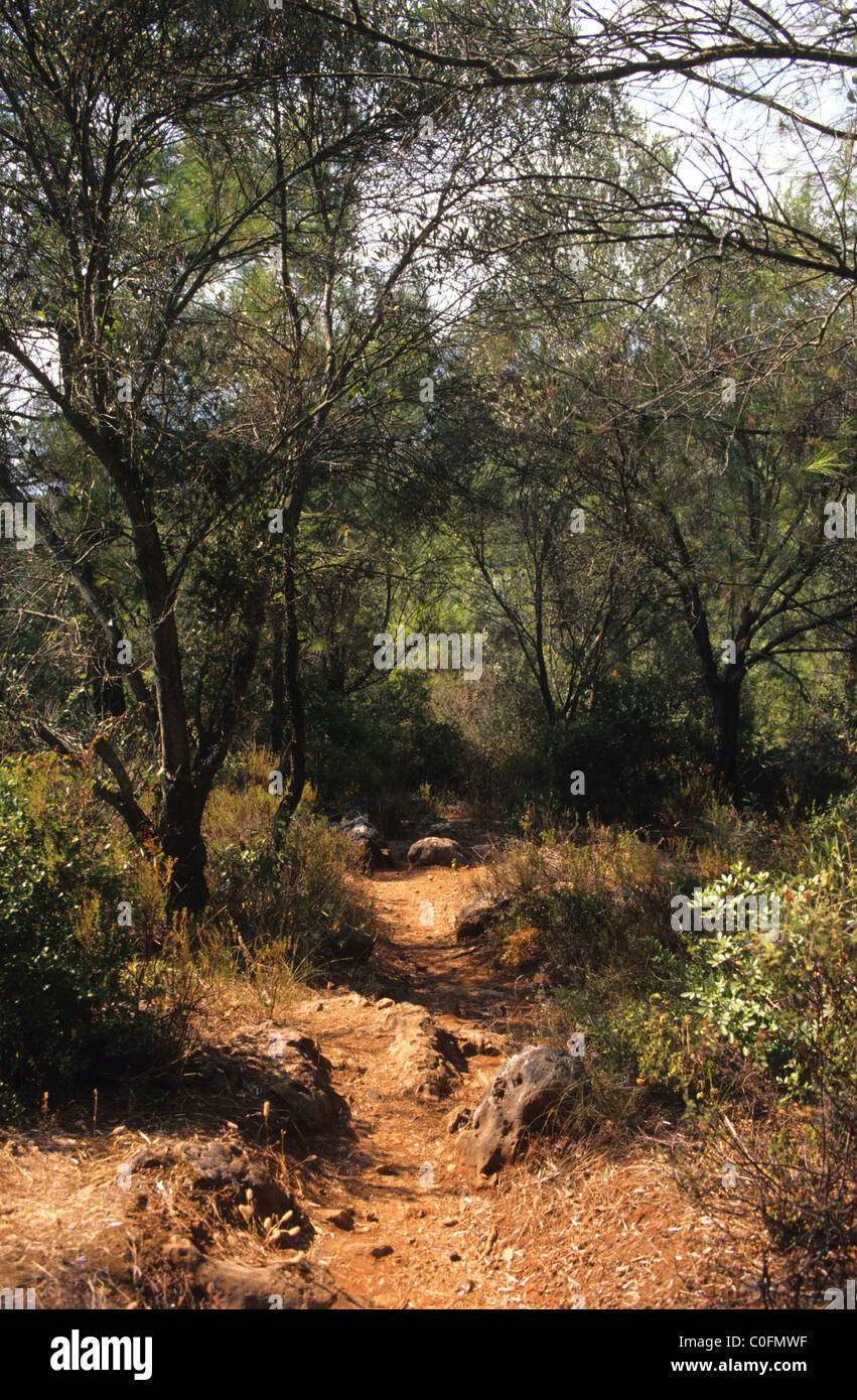 Turkish countryside near Dalyan Stock Photo - Alamy