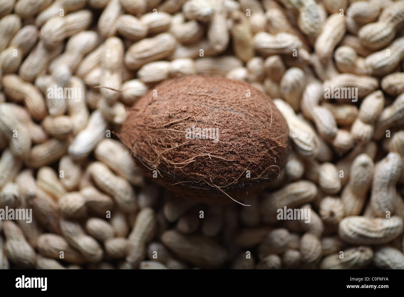 Peanuts and a Coconut Stock Photo - Alamy