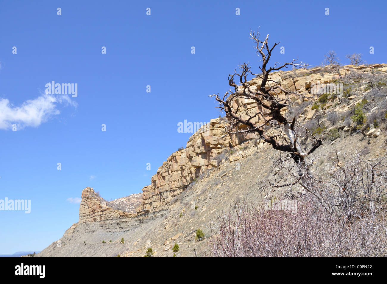 Mesa Verde National Park rocks, New Mexico, USA Stock Photo - Alamy